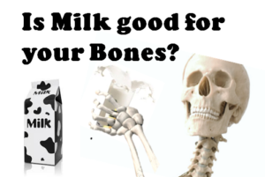 Is Milk Bad for your Bones? | Dairy Moos