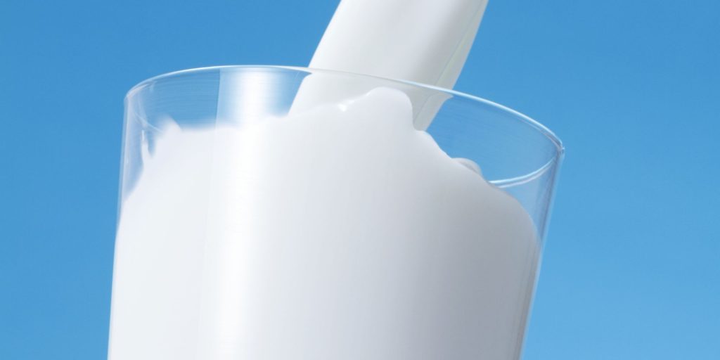 Interesting Facts about Milk | Dairy Moos